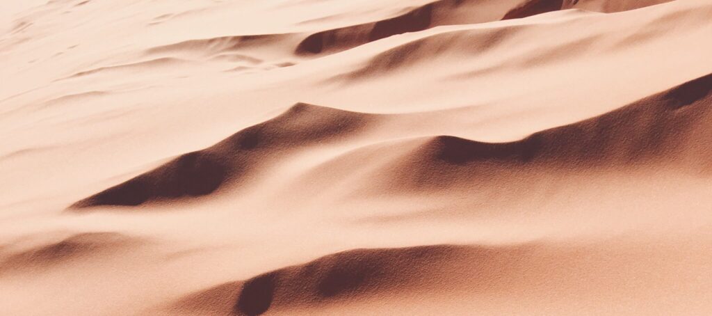 COP28: Reflections from a PhD Student - CE Hub